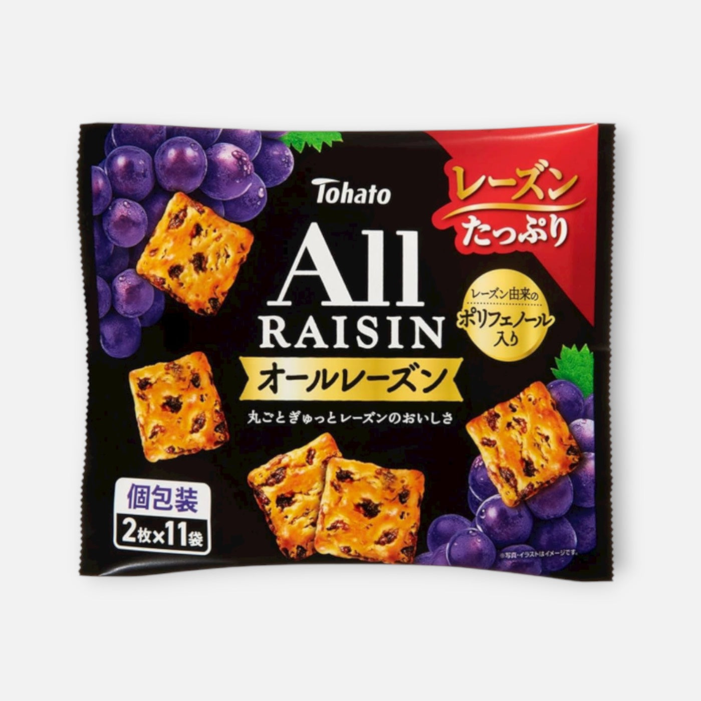 Tohato All Raisin Cookies (22 units) – Buy Me Japan
